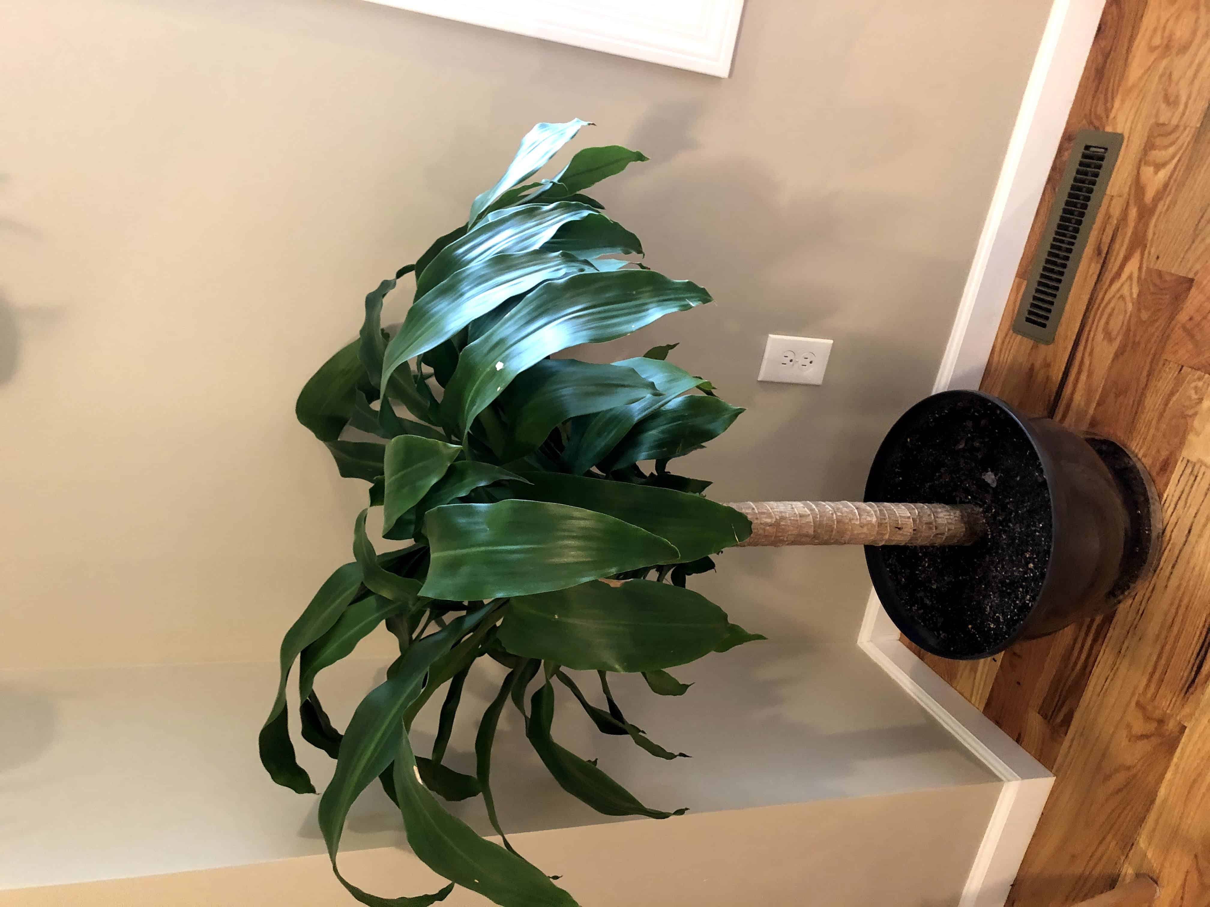 9 Ingenious Corner Decorating Ideas That Will Invigorate Your Home ...